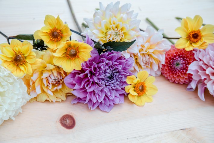 Welcome! [floristawestolive.com]